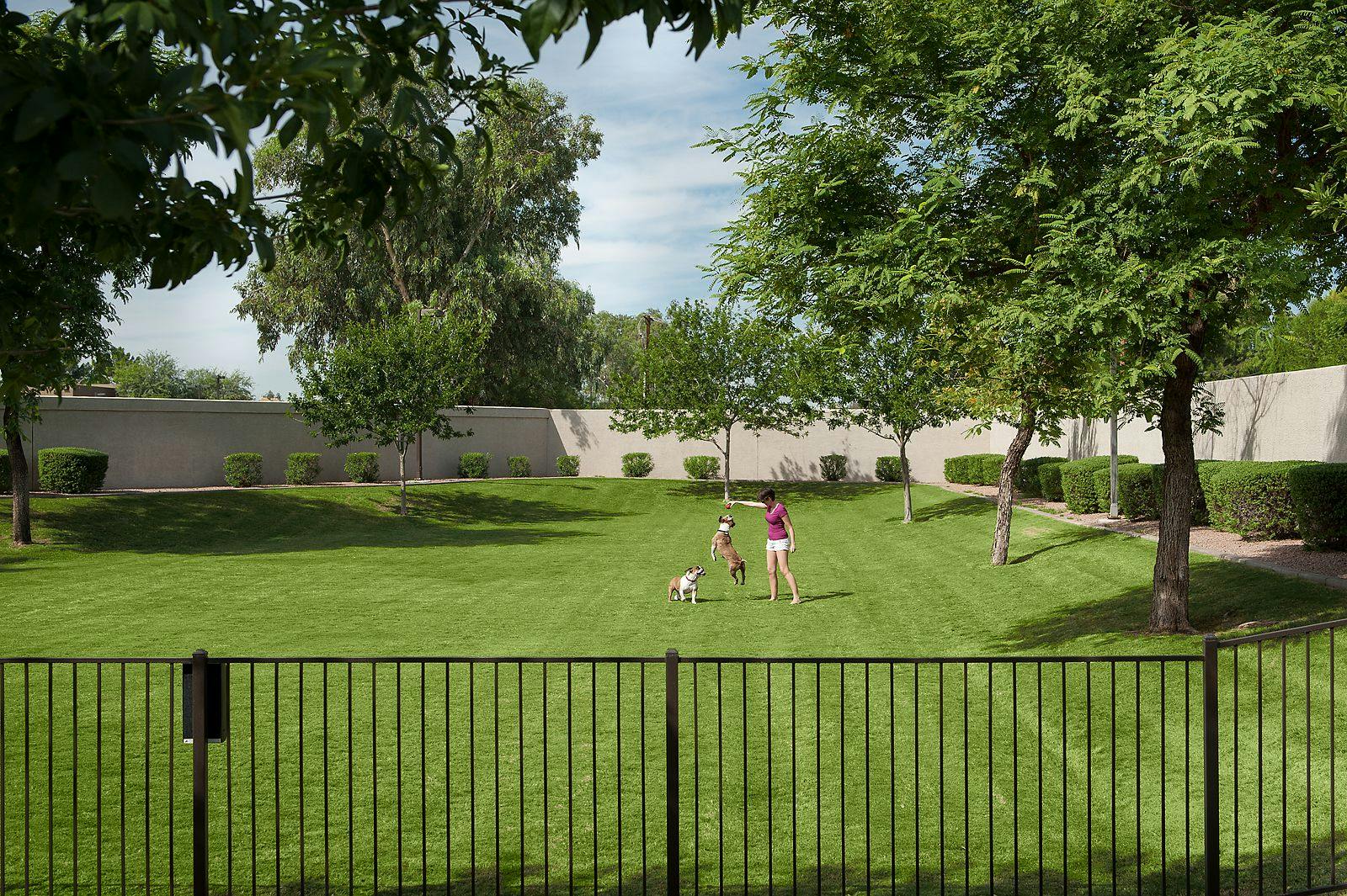 Luxury Apartment Homes | San Marbeya in Tempe, AZ